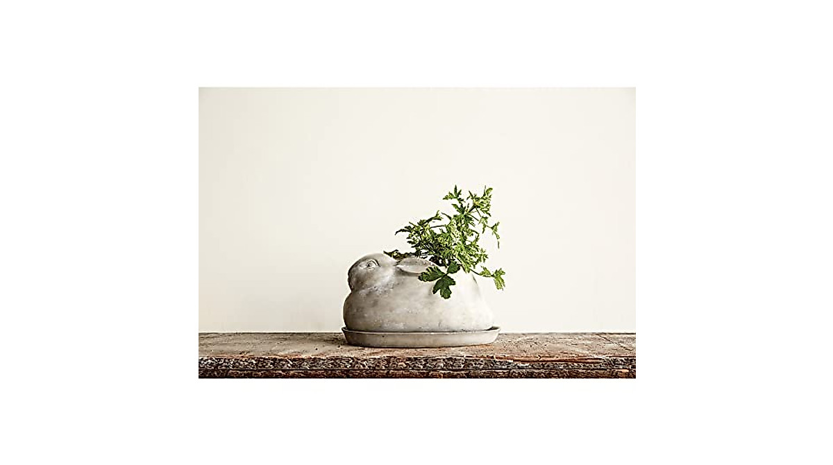 Cement Rabbit Planter Set by Creative Co-Op