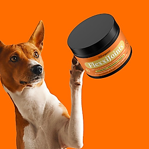 KiwiOrganix NZorganix FlexxiJoints 100% New Zealand Green-Lipped Mussel Powder, Hip & Joint Support Formula for Dogs & Cats, with Glucosamine, Chondroitin 100g (300 Servings)