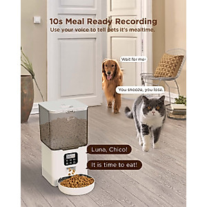 Ciays Automatic Cat Feeder, 5.6L, 4 Meals Per Day, Pet Dry Food Dispenser, Dual Power Supply & Voice Recorder, Black