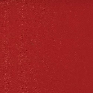 Coaster Home Furnishings Retro Open Back Side Chairs Red and Chrome (Set of 2)