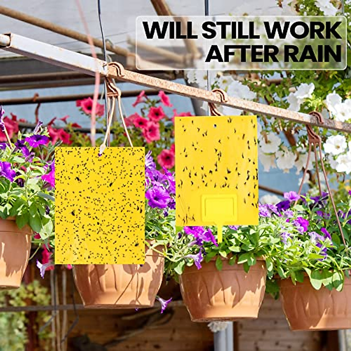 400 Pieces Sticky Traps for Gnats Yellow Dual Sided Sticky Traps for Indoor and Outdoor Fruit Fly Plant Sticky Traps with Twist Ties and Plastic Holders for Flying Plant Insect, Fungus Gnats