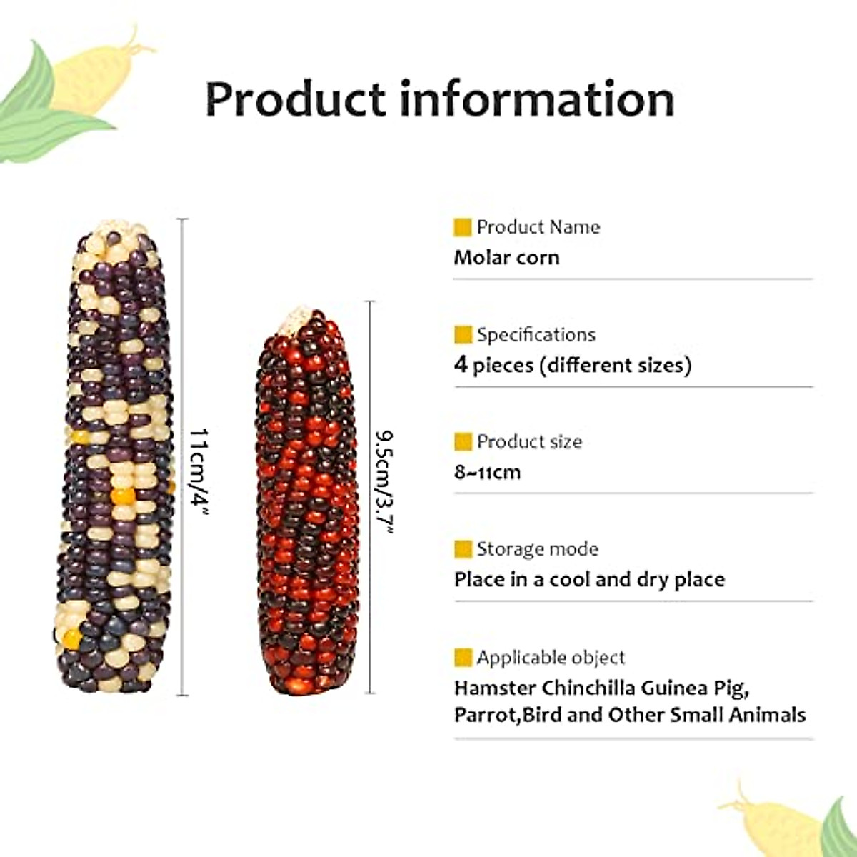 X-pet Hamster Treats and Chinchilla Chew Toys, 100% Natural Corn Suitable for Guinea Pig, Parrot,Bird and Other Small Animals