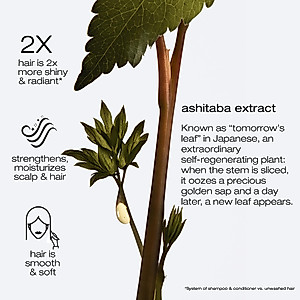 Shu Uemura Ashita Supreme Strengthening Conditioner for Damaged Hair | Deeply Nourishes and Hydrates | Enhances Shine and Smoothness | Strengthens to Reduce Breakage | For Dry, Damaged Hair