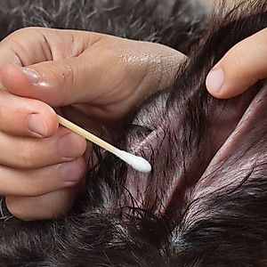 6'' Long Cotton Swabs 200PCS - Cotton Swabs Long Wooden Sticks - Long handle Swabs for Gun Cleaning, Ear Cleaning, Pets Care, Makeup