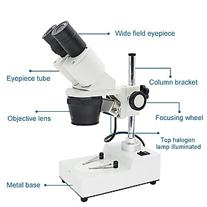 SDGH Binocular Stereo Microscope Industrial Stereo Microscope Top LED Illumination Mobile Phone PCB Soldering Repair Tool (Color : OneColor, Size : 20X)