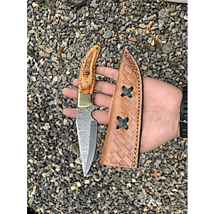 NUSHBA 014 handmade Damascus Steel Hunting Skinner knife with Cow Brown Leather Sheath Fixed blade knives for men