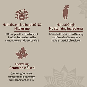 Daeng Gi Meo Ri- Ki Gold Premium Shampoo, Promoting Hair Growth, Effectively Moisture to Dry and Rough Hair, No Artificial Color 16.9 Fl Oz