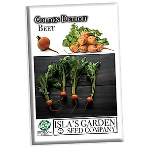 Golden Detroit Beet Seeds for Planting, 100+ Heirloom Seeds Per Packet, (Isla's Garden Seeds), Non GMO Seeds, Botanical Name: Beta vulgaris, Great Home Garden Gift