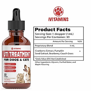 Dog UTI Treatment | Cat UTI Medicine | Cat UTI Remedy | Cranberry Supplement for Dogs | Pumpkin for Cats | Dog UTI | Cat UTI | Cranberry for Dogs | Cat Urinary Tract Infection Treatment | 1 fl oz