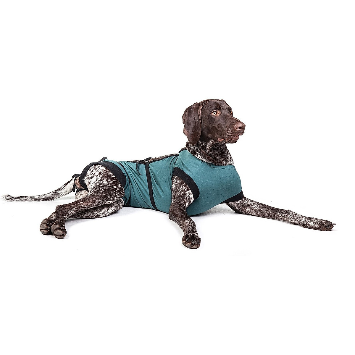 E-Collar Alternative for Cats and Dogs: After Surgey Wear. Recommended by Vets (X-Large, Bottle Green)