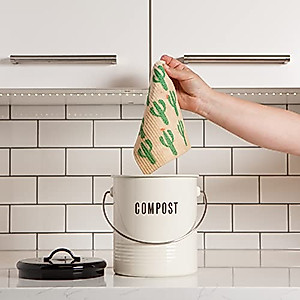 Ecoloie Swedish Sponge Reusable Dishcloth Cacti 6.5 x 8 inches, Set of 2