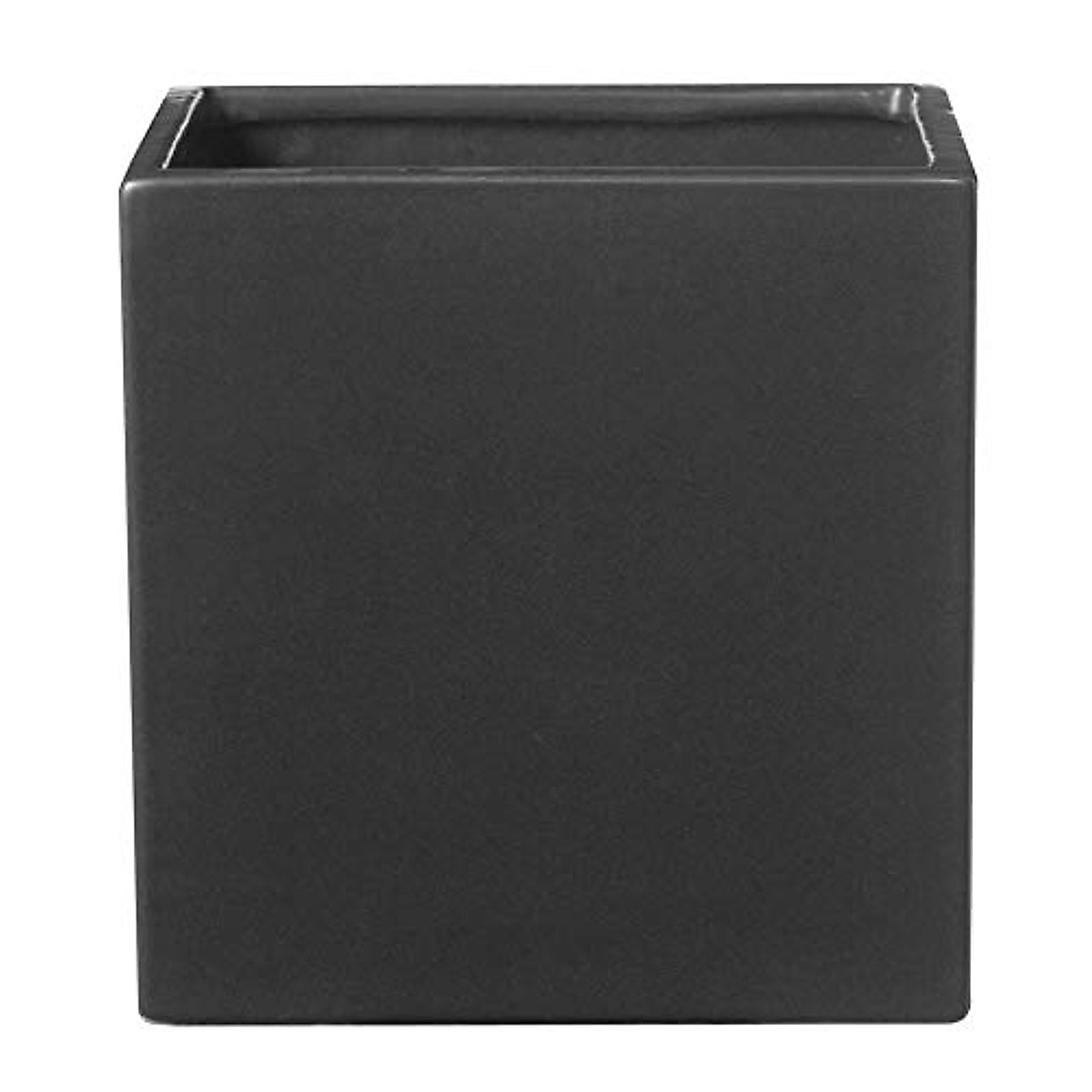 Athena's Garden Modern Black Pot with Polished River Rocks and Lichen. Live Heart-Shaped Hoya Plants Square, Green