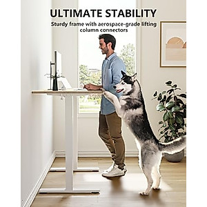 BANTI 40''x24''Height Adjustable Electric Standing Desk, Stand up Table, Sit Stand Home Office Desk with Splice Board, Maple Top