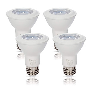 Simba Lighting LED PAR20 Light Bulb 6W 38deg Spotlight Dimmable (4-Pack) for Indoor Recessed Can, Range Hood and Outdoor PAR 20, 120V E26 Base, 40W to 50W Halogen Replacement, 3000K Soft White