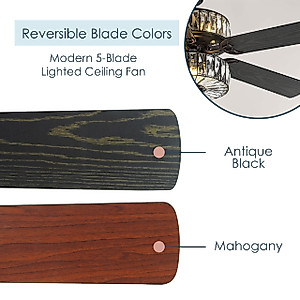 RIVER OF GOODS Glam 52 Inch Width Double-Lit LED Ceiling Fan, Clear