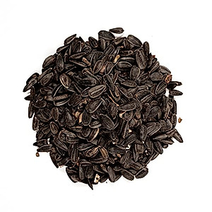 Shafer Seed 51041 40-Pound Bag, Black Oil Sunflower Wild Bird Food