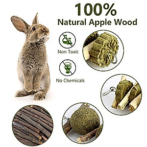 2Pcs/Set Bunny Chew Balls Toys,Rabbits Teeth Care Chewing Playing Toys,Molar Natural Apple Sticks for Rabbits Chinchillas Guinea Pigs Hamsters Improve Dental Health