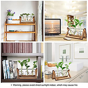 RENMXJ Plant Propagation Station, Gifts for Women, Home Office Garden Decor Planter(3 Bulb Vase)