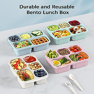 Bento Lunch Box, Bento Box, Reusable Lunch Box Kids with 5 Compartments Meal Prep Containers for Kids and Adults, Lunch Snack Containers with Utensils & Transparent Lids for School, 4 Pack (Wheat)