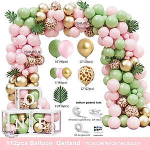 YSHMFEUX Wild One Birthday Decorations Party Supplies for Girl, 1st Birthday Girl Decorations, Jungle Animal 1st Birthday Party Supplies, First Birthday Decorations for Girls