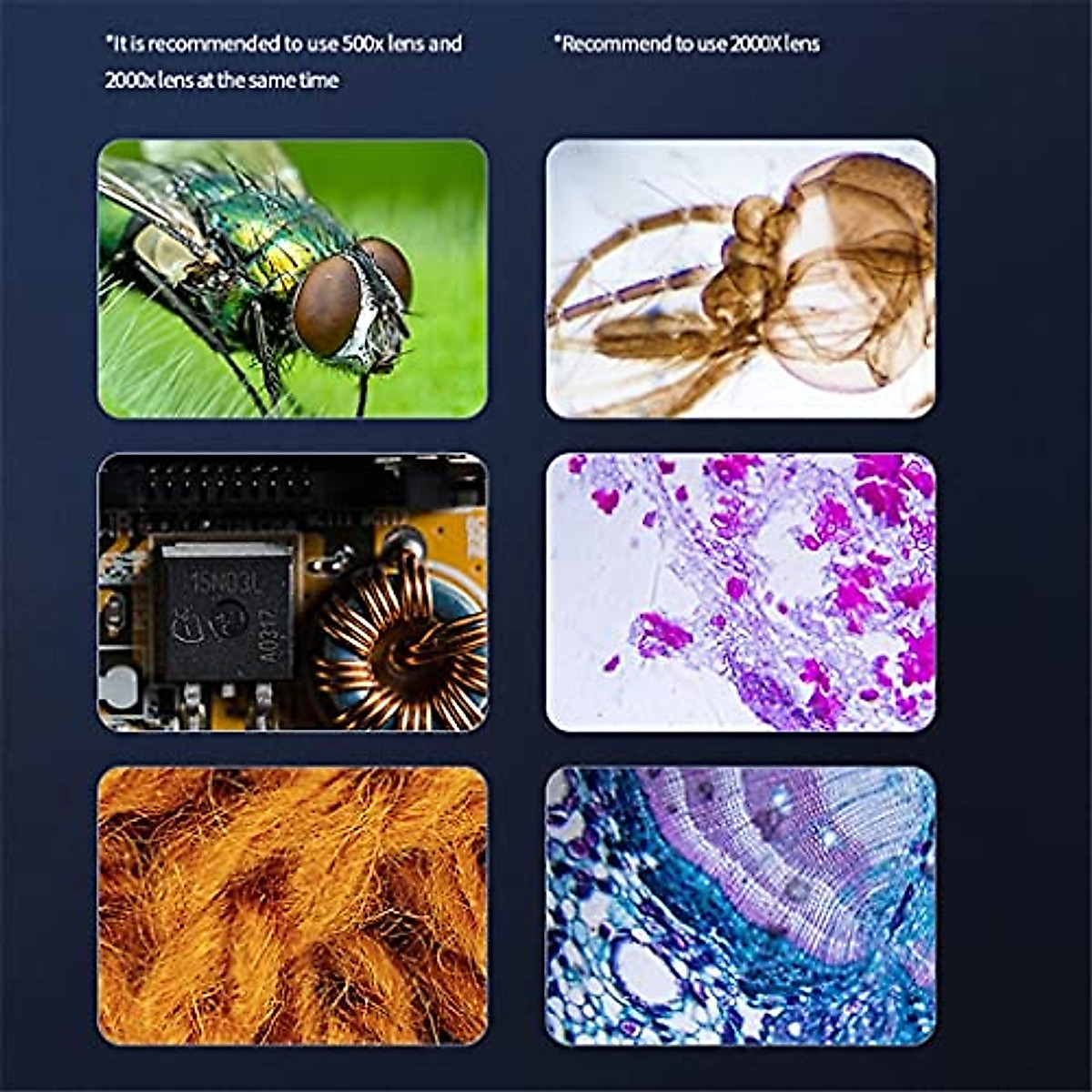 LXXSH 2000x WiFi Dual Lens Electronics Digital Microscope USB Phone PC Video Microscope for Microbial Observation