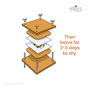 Petal Co Kid's Flower Press Kit & Leaf Press | Free EBook on Flower Pressing | Wooden Art Kit | Pressed Flower Art Kit | Gift for Kids | Flower Pressing Kit for Adults Too. Plant Press Kit.