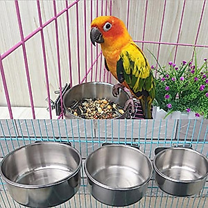Lucky Interests 4 pcs Bird Feeding Dish Cups, Three Sizes Parrot Stainless Steel Food Bowl Bird Cage Water Feeder with Clamp Holder for Parrots Cockatiel Budgies Lovebird Parakeet with 4 Bird Spoon