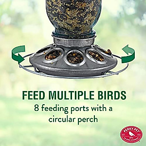 Perky-Pet 784 Mason Jar Wild Bird Feeder, No Size, Blue