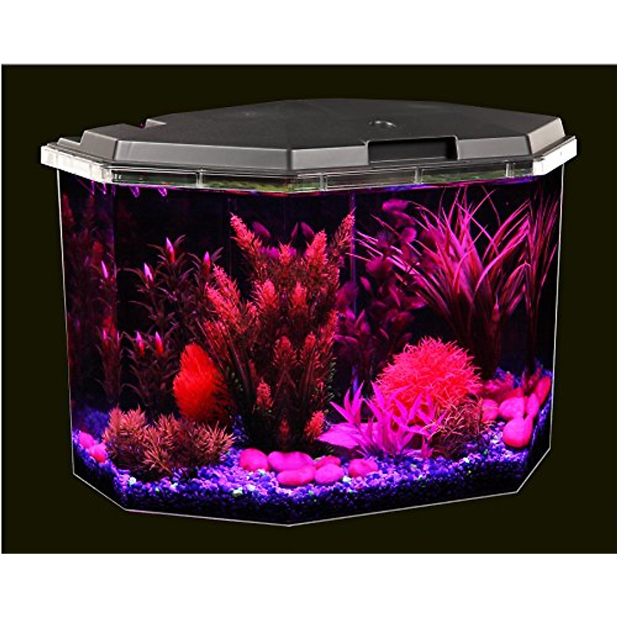 Koller Products 6.5-Gallon Aquarium Kit with Power Filter and LED Lighting, (AP650)