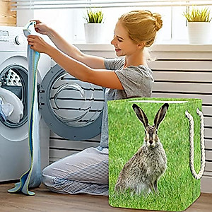 DEYYA Waterproof Laundry Baskets Tall Sturdy Foldable Wild Rabbit Bunny Hare Nature Grassland Print Hamper for Adult Kids Teen Boys Girls in Bedrooms Bathroom