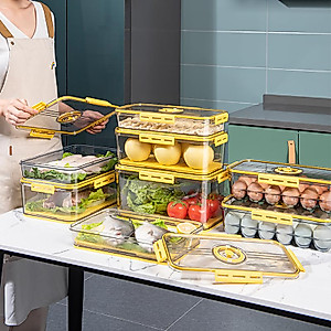 GHAZAL 8 Piece Fridge Organizer Set - Stackable Bins (Large & Small) with Egg Tray, Ghazal_fridge_containers2004-00