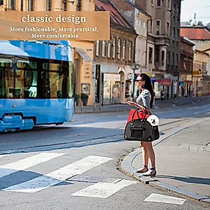 Sasapet Dog Carrier, Pet Carrier, Dog Purse, Foldable Premium PU Leather Cat Carrier, Portable Tote Bag Carrier for Cats and Small Dogs - Black