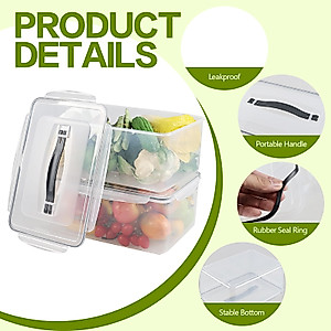 Doryh 14.5 L Clear Storage Bin with Sealed Lid, 4 Packs Plastic Airtight Food Storage Box
