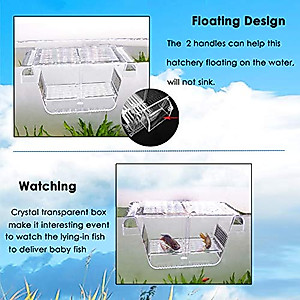 capetsma Fish Breeding Box, Acrylic Fish Isolation Box with Suction Cups, Aquarium Acclimation Hatchery Incubator for Baby Fishes Shrimp Clownfish and Guppy. Small Size (S)