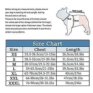 Pethiy Dog Cold Weather Vest Waterproof Windproof Reversible Dog Apparel Winter Coat Warm Dog Outfits for Small Dogs-Blue M
