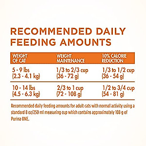 Purina ONE High Protein, Healthy Weight Dry Cat Food, +Plus Ideal Weight With Turkey - 7 lb. Bag