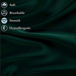 BEIJOEY 100% Mulberry Silk Pillowcase 2 Pack for Hair and Skin,with Hidden Zipper,Both Sides 19 Momme 600 Thread Count Natural Silk Pillow Cover,Soft Breathable Smooth (Dark Green, Standard 20''x26'')