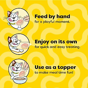 Temptations Lickable Spoons Adult Wet Cat Treat, 10 Grams, Variety Pack of 24