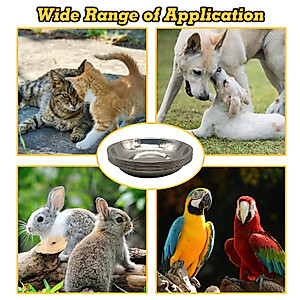 Hamiledyi 12 Pcs Stainless Steel Cat Bowls Replacement Whisker Fatigue Relief Cat Plates Pet Water Dish Shallow Kitten Bowls Pet Bowls for Dogs Cats or Other Small Animals (7.05 Inch Diameter)