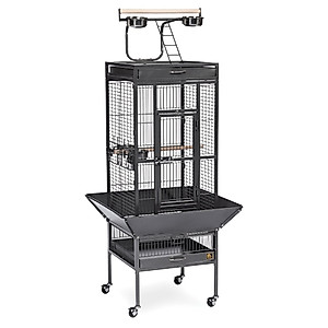 Prevue Pet Products Wrought Iron Select Bird Cage Black Hammertone 3151BLK