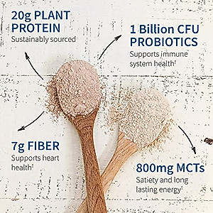 Garden of Life Chocolate Plant Based Fit Protein with Fava Bean, Sprouted Grains Plus Immune Support, Probiotics & Svetol to Help Burn Fat – Dr Formulated MD – Non GMO, Carbon Neutral, 10 Servings