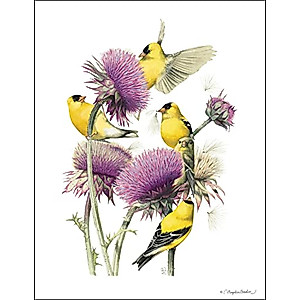 Marjolein Bastin Nature's Inspiration 2023 Deluxe Wall Calendar with Print