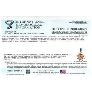 Ian and Valeri Co. Amber Sterling Silver Small Sun Pendant