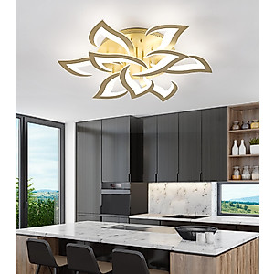 MEIXISUE LED Ceiling Light Gold Dimmable Close to Ceiling Lamp with Remote Control for Living Room,Bedroom,Kitchen,W31.5
