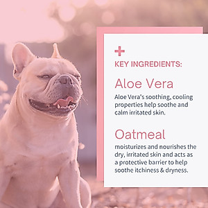 SensoVet Wrinkles, Skin & Paw Grooming Wipes for Dogs - Natural Aloe Vera & Oatmeal (60 Large Wipes)