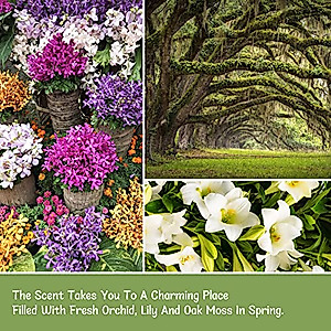 Gifts for Him Boyfriend Husband Couples Gifts for Men Women Her Girlfriend Wife, Naughty Couple Gifts for Anniversary Birthday Gifts Womens Mens Gifts Valentines Day Gifts Love Gifts Unique