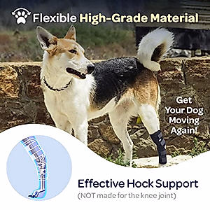 Labra Dog Extra Supportive Canine Rear (Hind) Leg Hock Joint Compression Wrap for Recovery, Protection, and Sprain and Injury Prevention, Ankle Brace with Knee Support for Dogs - Large