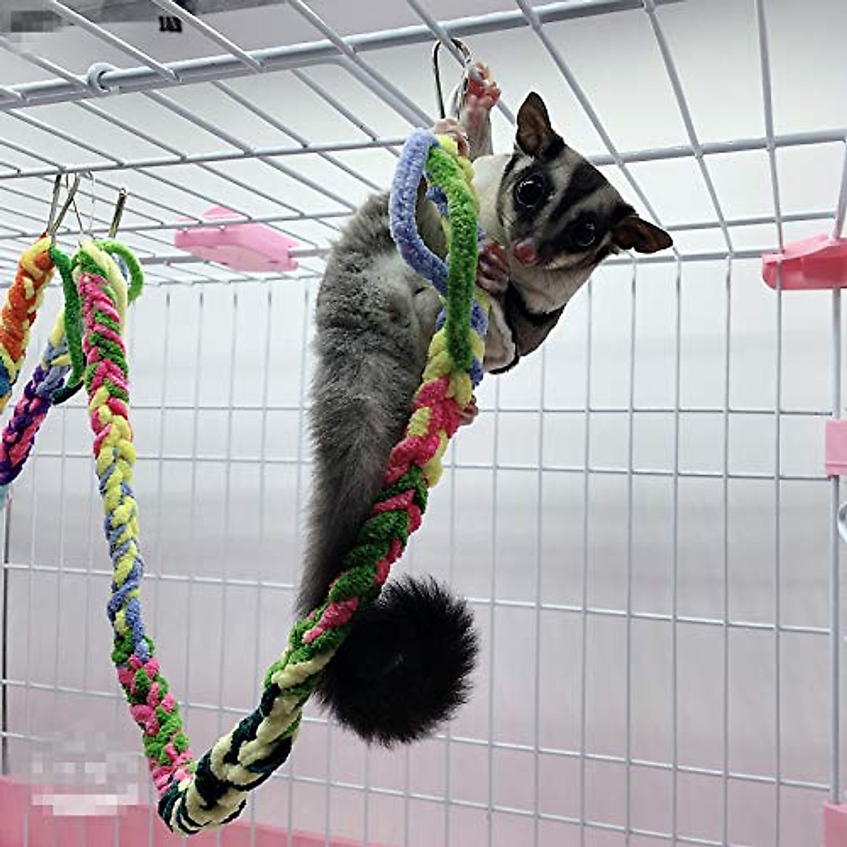 RIOUSSI Handmade Hanging Sugar Glider and Rat Toys for Climbing/Exercising/Jungle Exploration, Cage Accessories, Random Color, 4 Pack