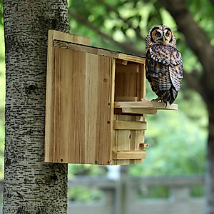 Owl House Screech Owl House Owl House Cedar Barn Owl Bird House House Owls & Kestrels Owl Houses for Outdoors Large Handmade Wooden Rectangular Opening Bird Box with Mounting Screws Easy Assembly