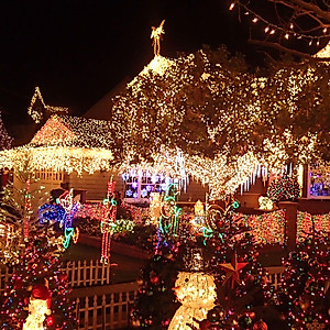 TW SHINE Christmas Lights, 200 LED 66FT Outdoor Christmas Lights Plug in with 8 Modes, Waterproof Christmas Lights Outdoor, Indoor Xmas Decorations for Party Yard House Decor, Warm White